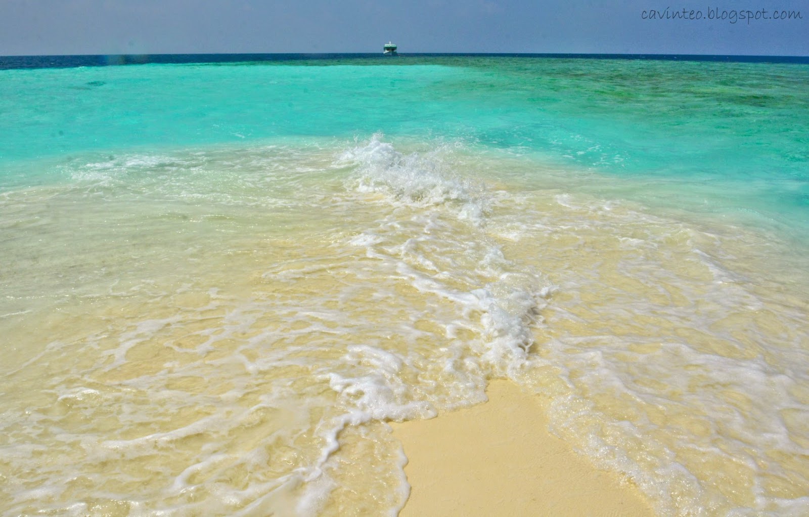 Entree Kibbles: Sand Bank Lunch @ Maldives [Part of Excursion Package]
